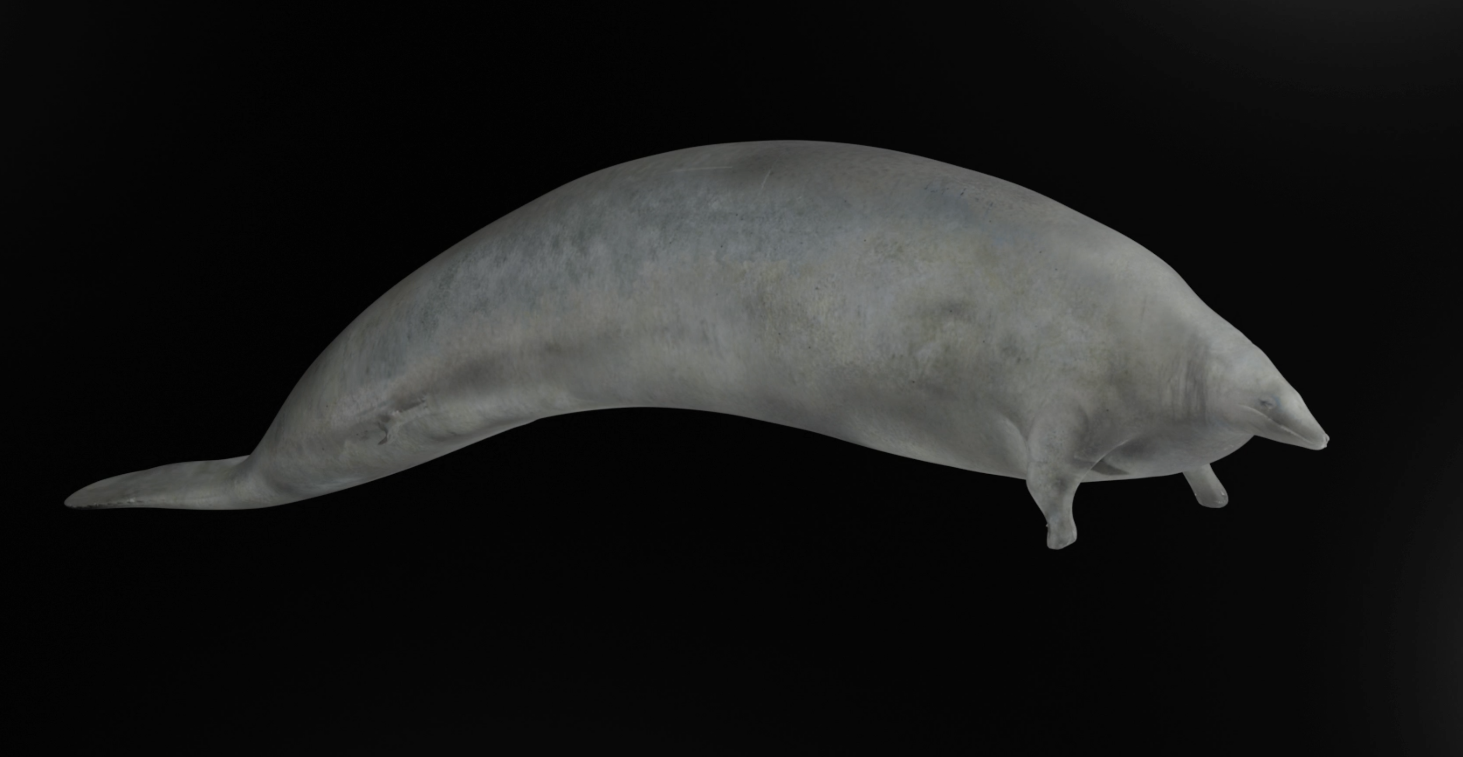 Conferencia: ¡El PERÚ es COLOSAL para hacer paleontología! – Facultad ...