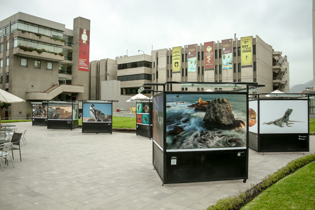 Resumen de investigación 2023 – Facultad de Ciencias e Ingeniería